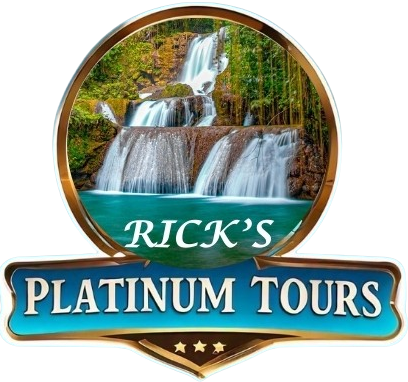 Home - Ricks Platinum Tours